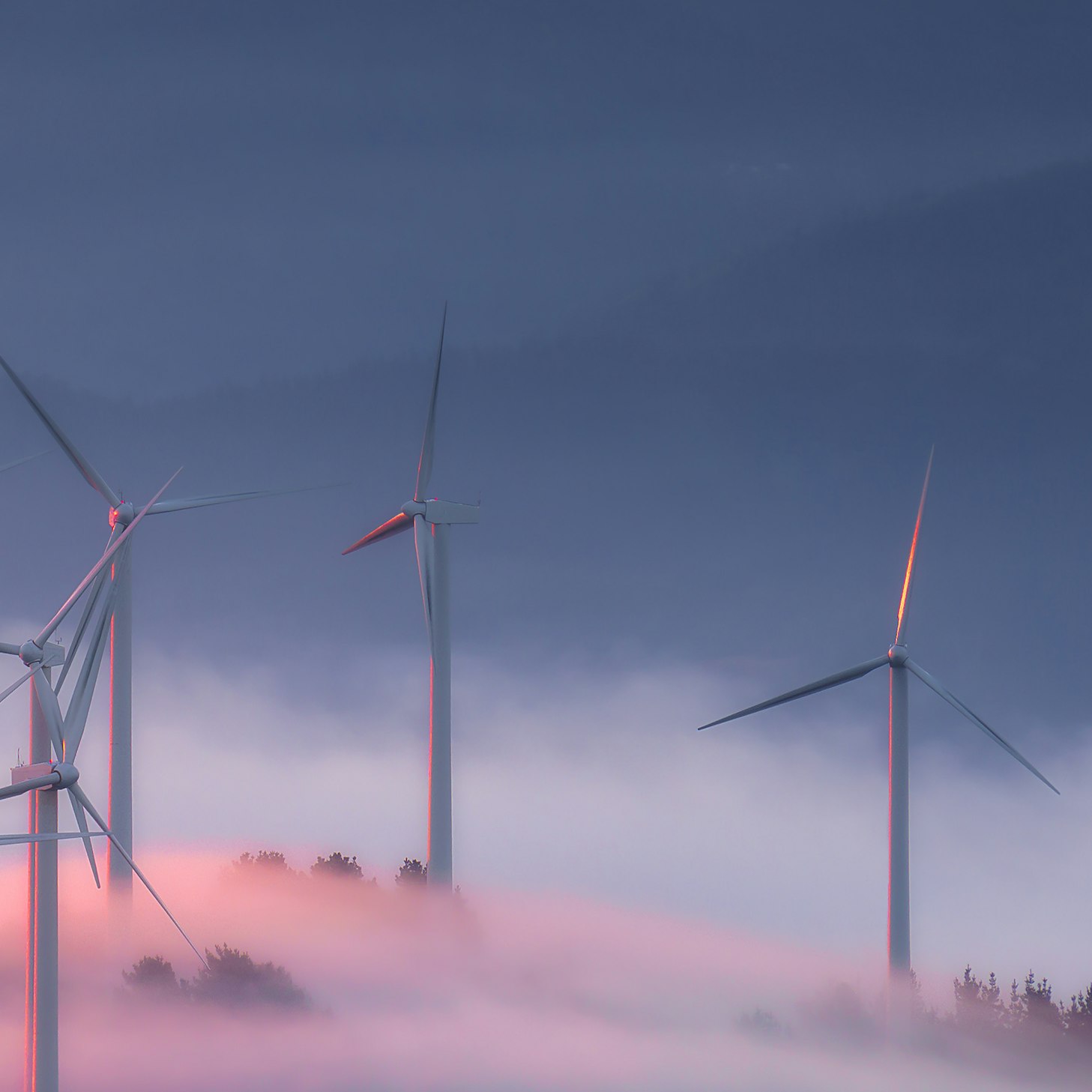 Clean Energy Transitions Programme 2018 – Analysis - IEA