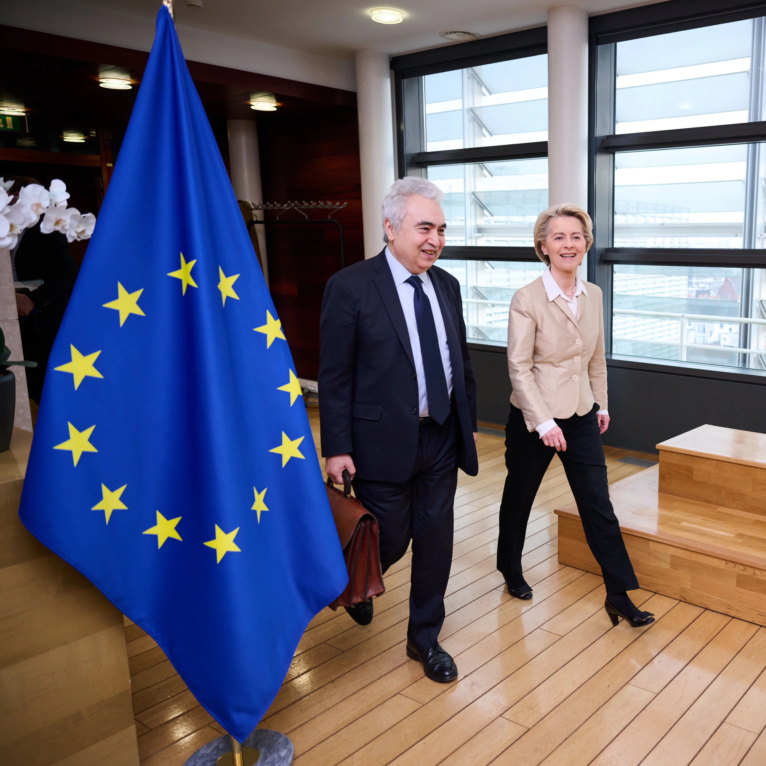 IEA Executive Director addresses EU College of Commissioners in ...