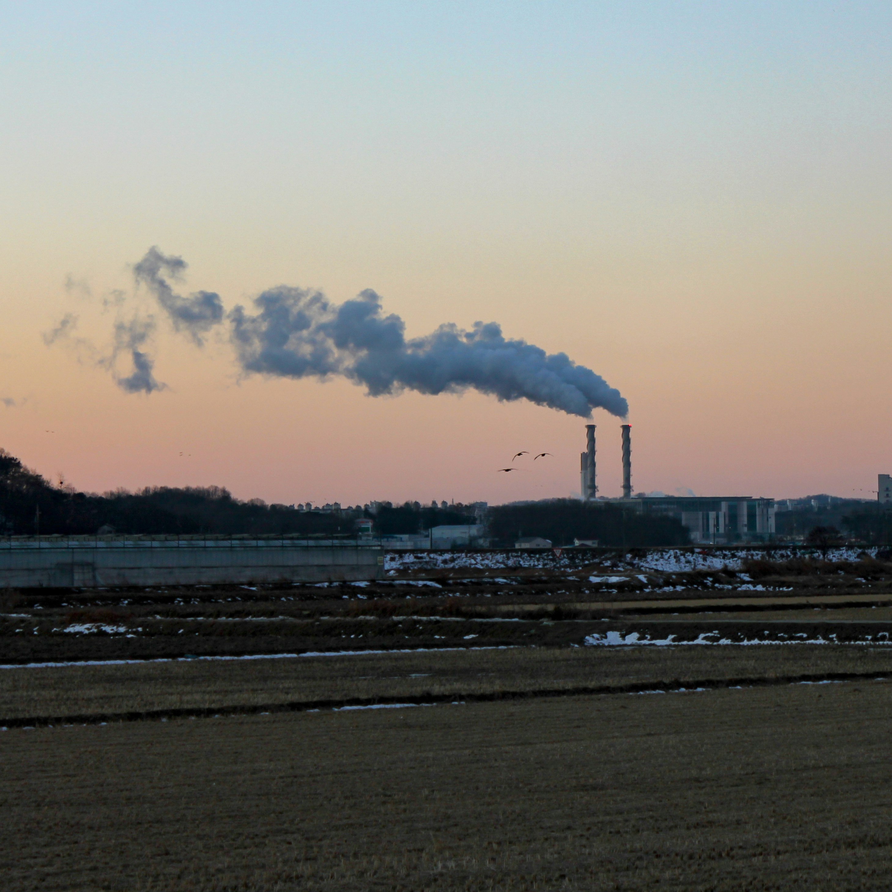 Strategies for Coal Transition in Korea – Analysis - IEA