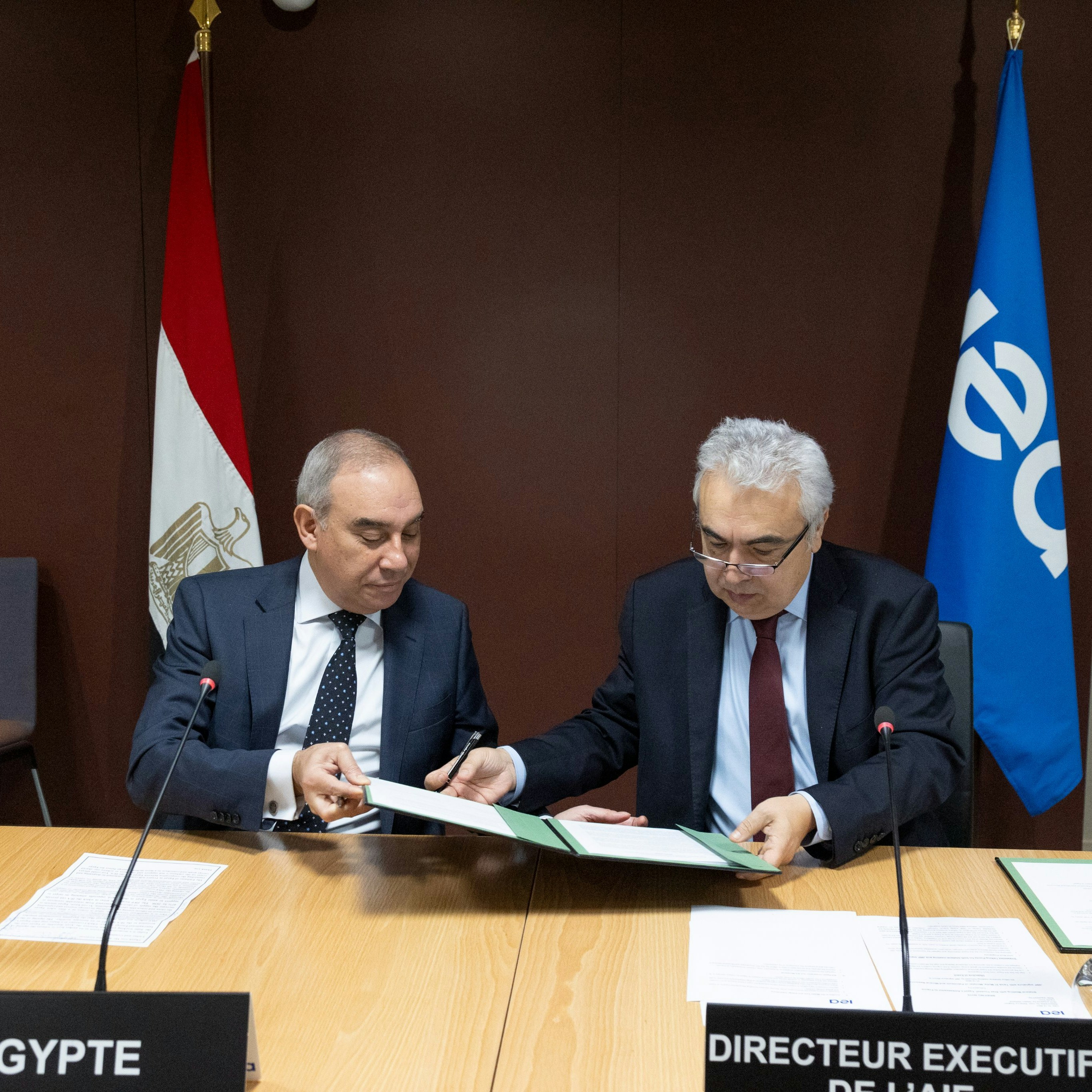 IEA and Egypt strengthen cooperation with first-ever joint work ...